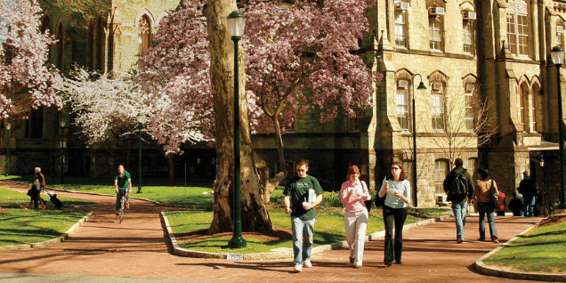 How to Write Wharton's EMBA Prompts | MBA Ivy